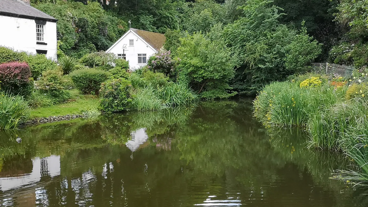 Photo Archive Challenge 2020/21 - Green Liberal Democrats